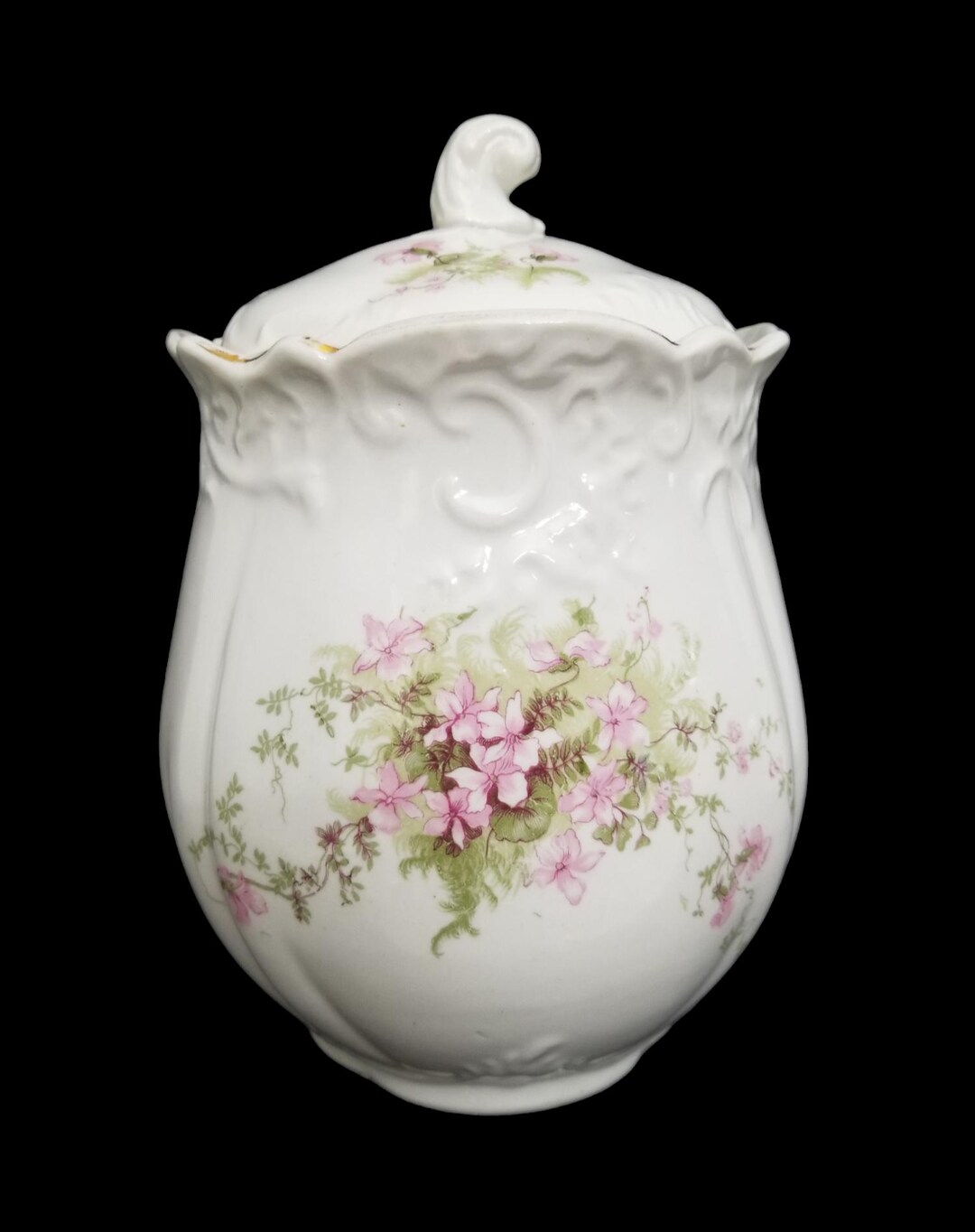 Antique Maddock Pottery Co. Royal Porcelain Biscuit Jar - Etsy