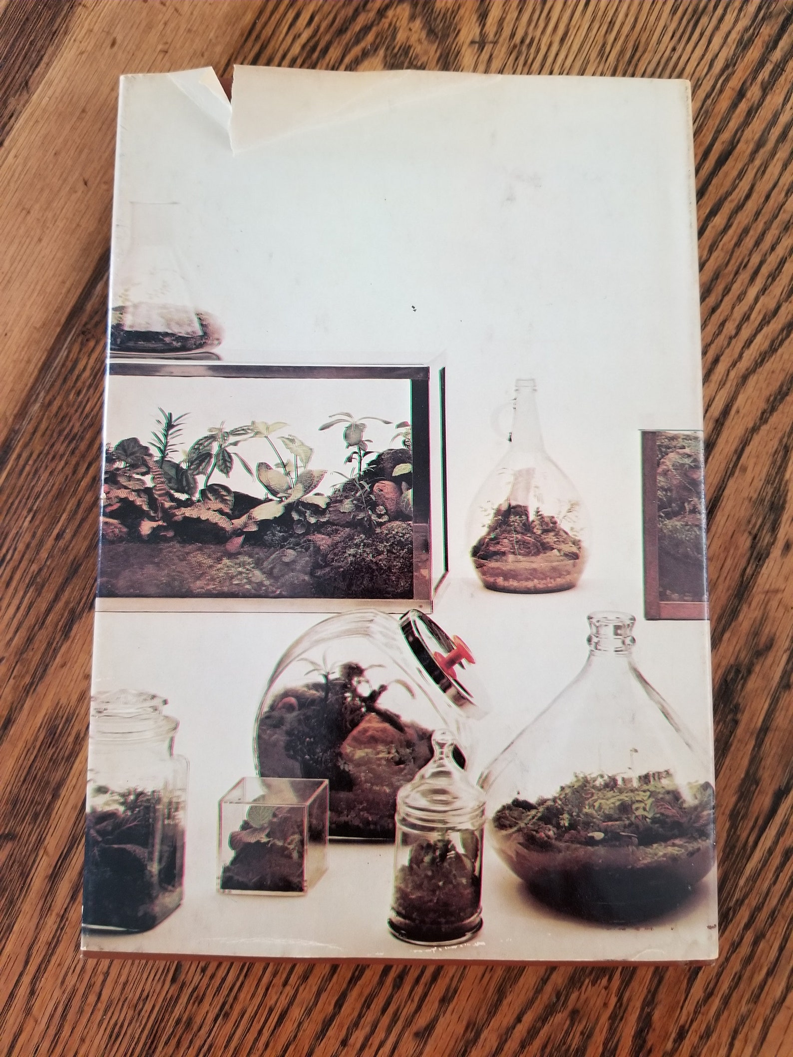The Terrarium Book by Charles M. Evans With Roberta Lee Pliner - Etsy