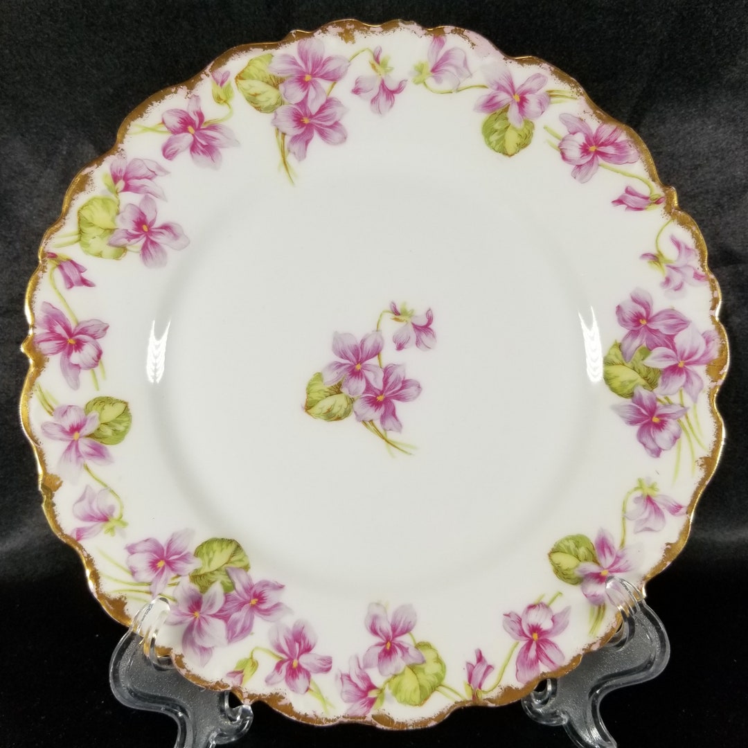 Antique Limoges Elite Works for Higgins & Seiter Porcelain Violet Plate ...