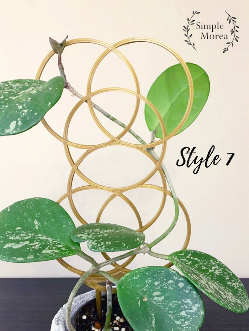 12" Tall Circle Plant Trellis, Style #7 - Etsy