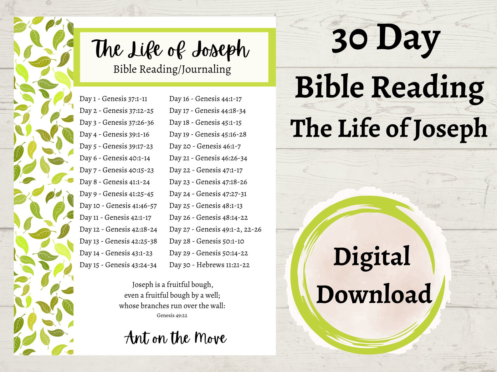 Life of Joseph Bible Reading Plan |30-day Bible Reading | 30 Day ...