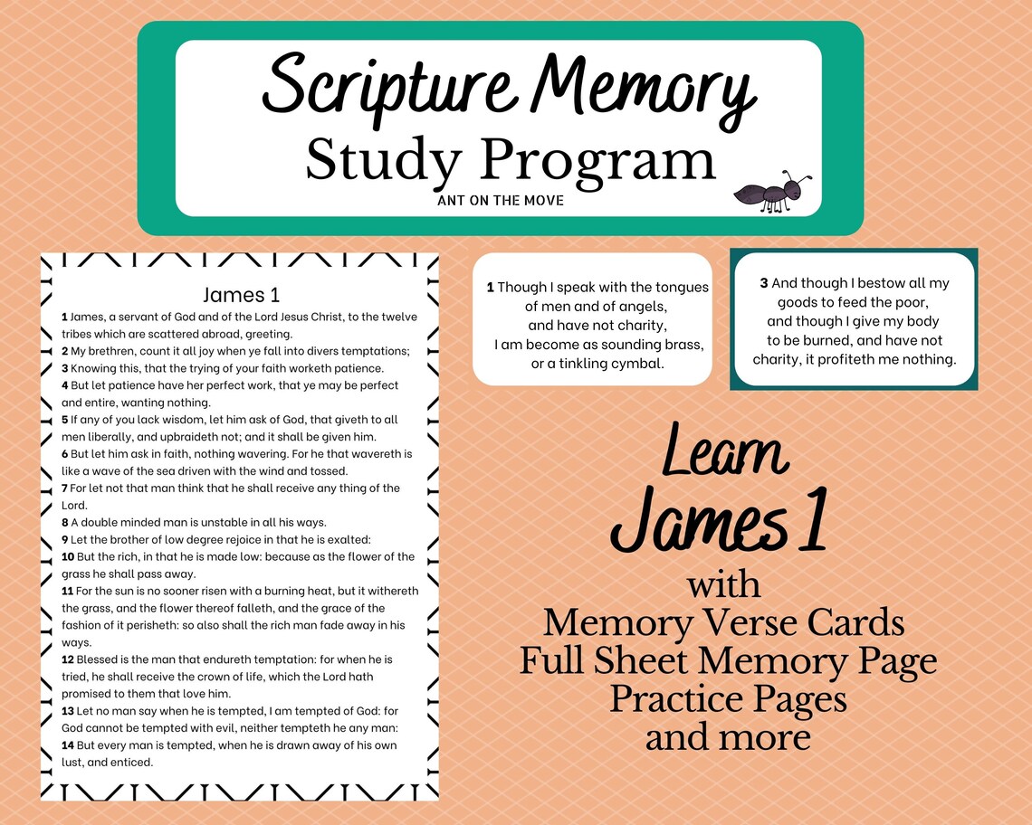 Scripture Memory James 1 Memorize Scripture Verse Cards Fill in the ...