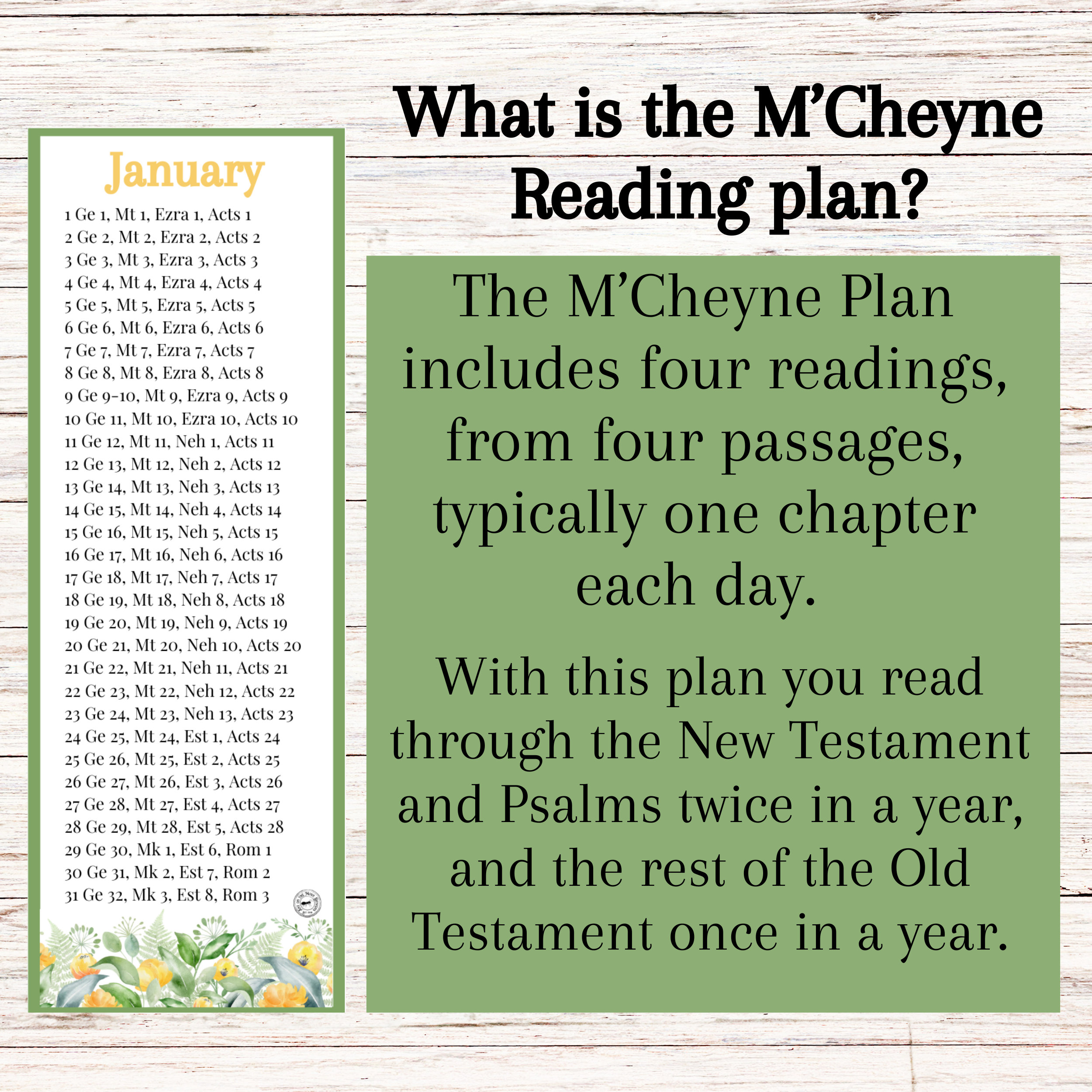 M’cheyne Bible Reading Bookmarks, Printable Bible Reading Plan, 2025 ...