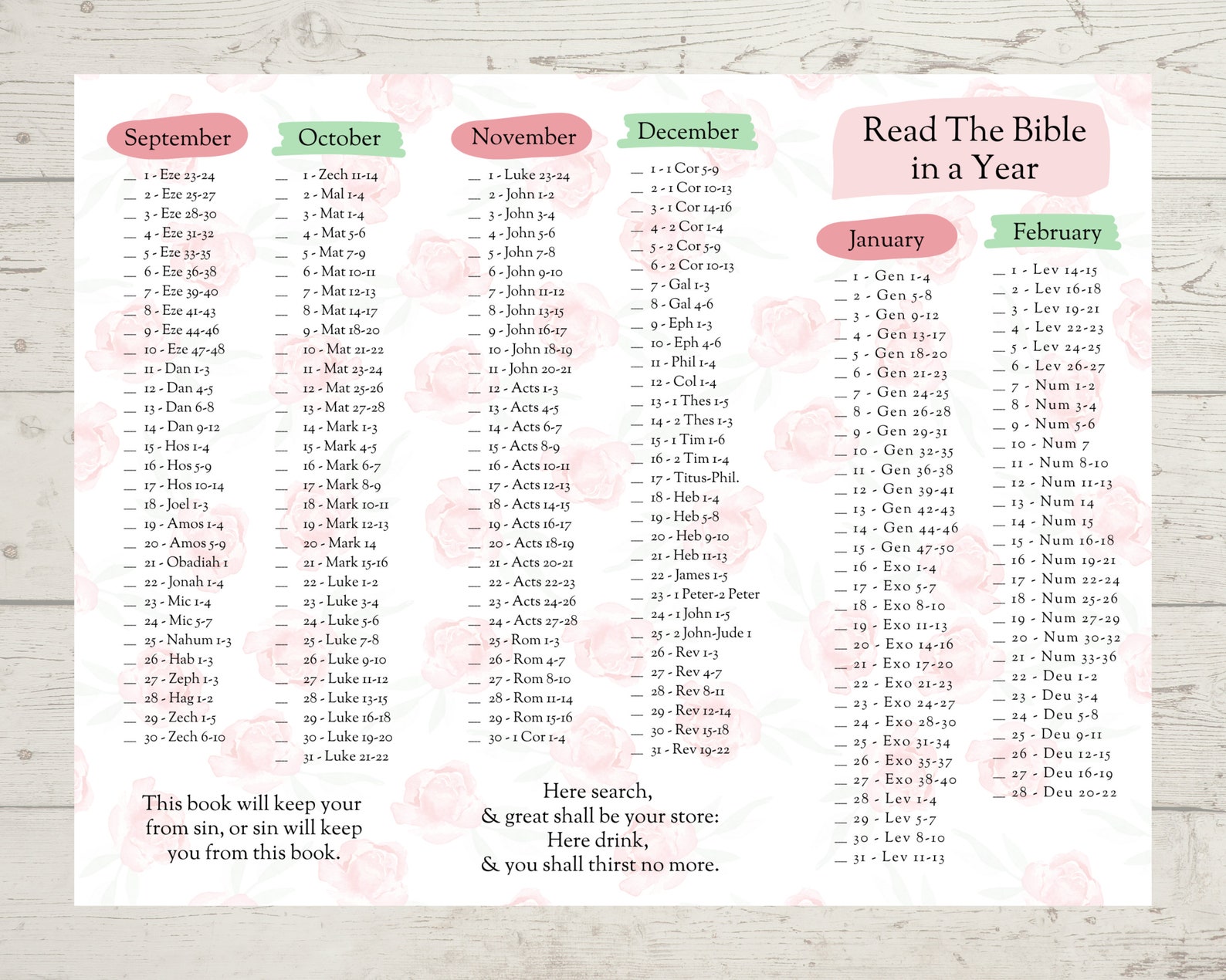 Bible Reading Tracker | Bible Insert | Printable Bible Reading Tri-fold ...