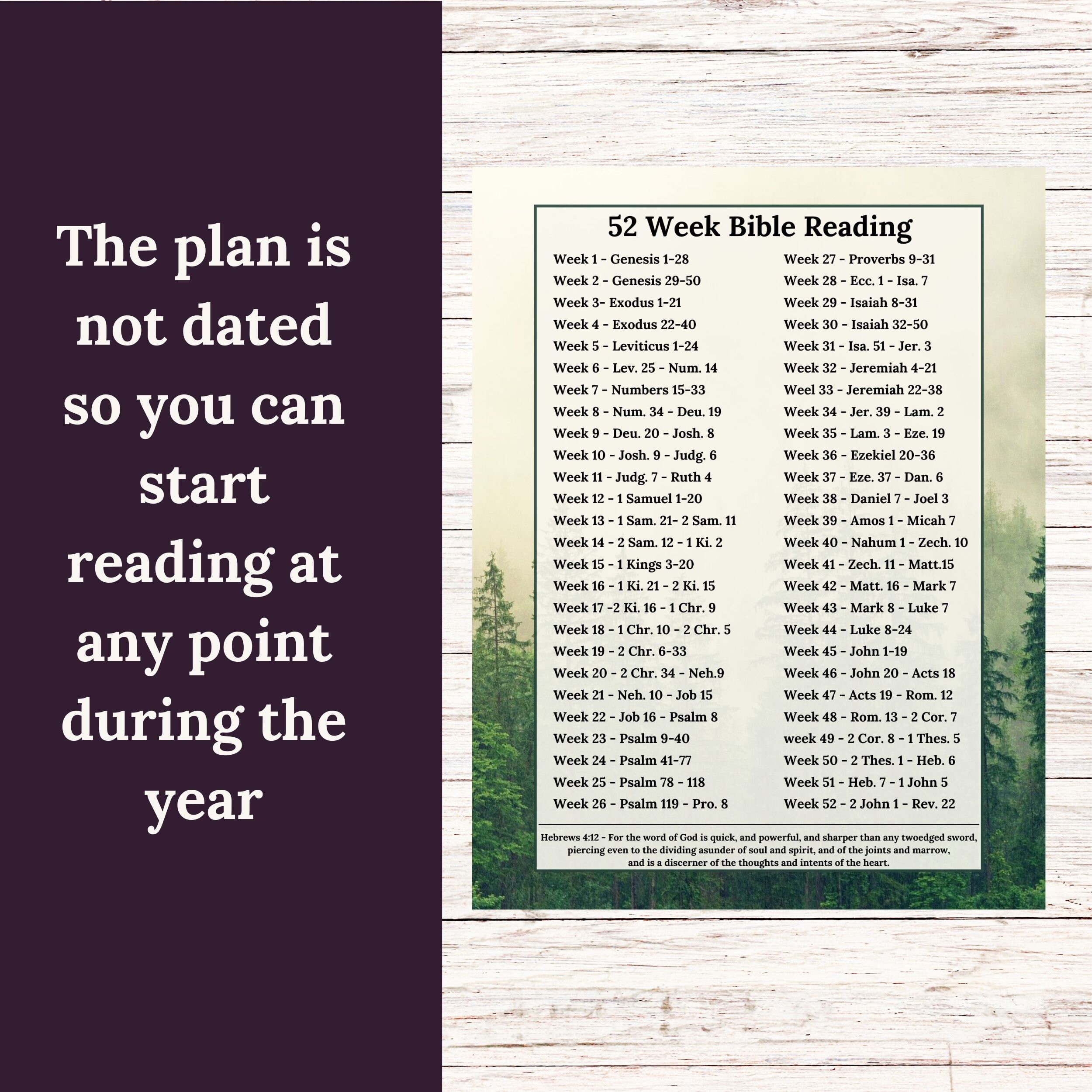Read the Bible in a Year, Bible Reading Chunks, Weekly Bible Reading ...