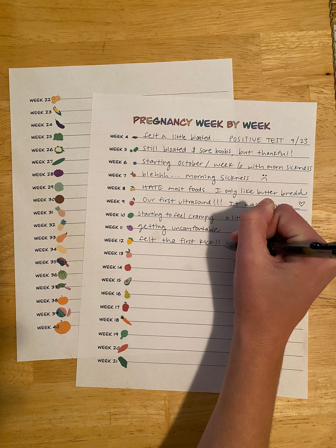 Pregnancy Tracker Week by Week Printable - Etsy