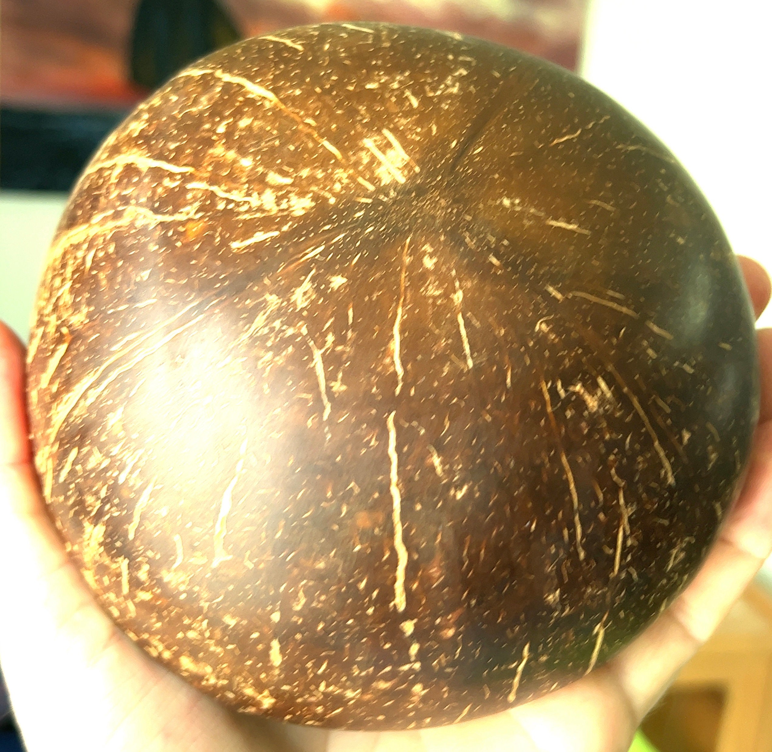 Hand Painted Coconut Wall or Shelf Tropical Home Decor - Etsy