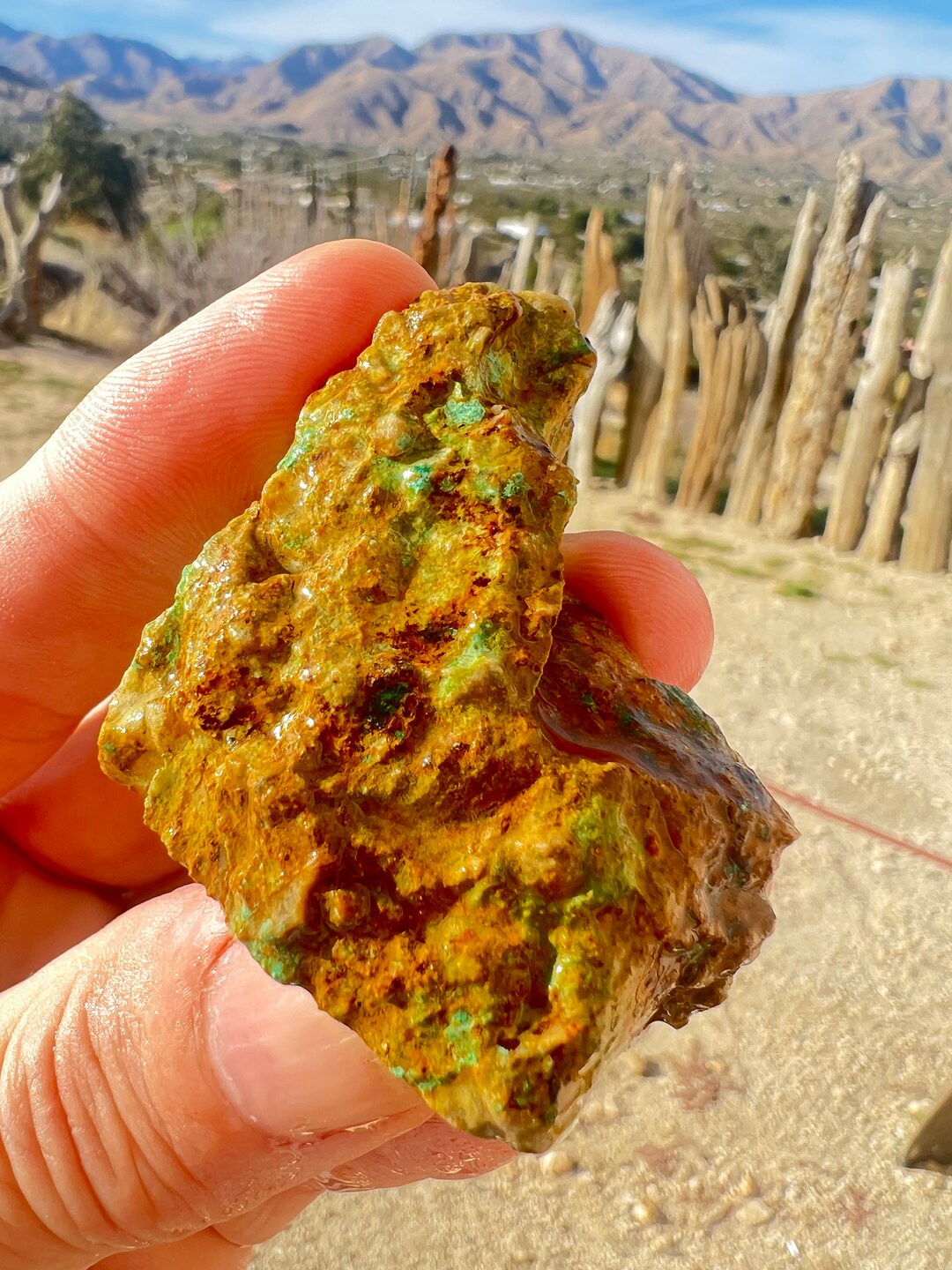 1.8oz Rough Raw Untreated Green Nevada Seam Turquoise Lady - Etsy