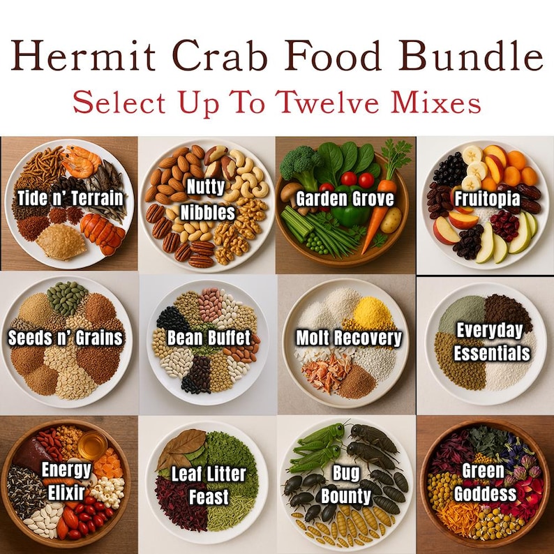 Hermit Crab Food Bundles - Etsy
