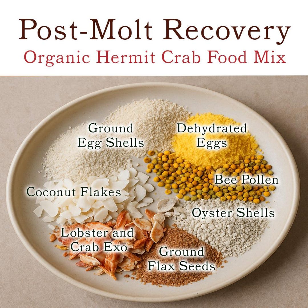 POST-MOLT RECOVERY™ - Hermit Crab Superfood Mix - Etsy