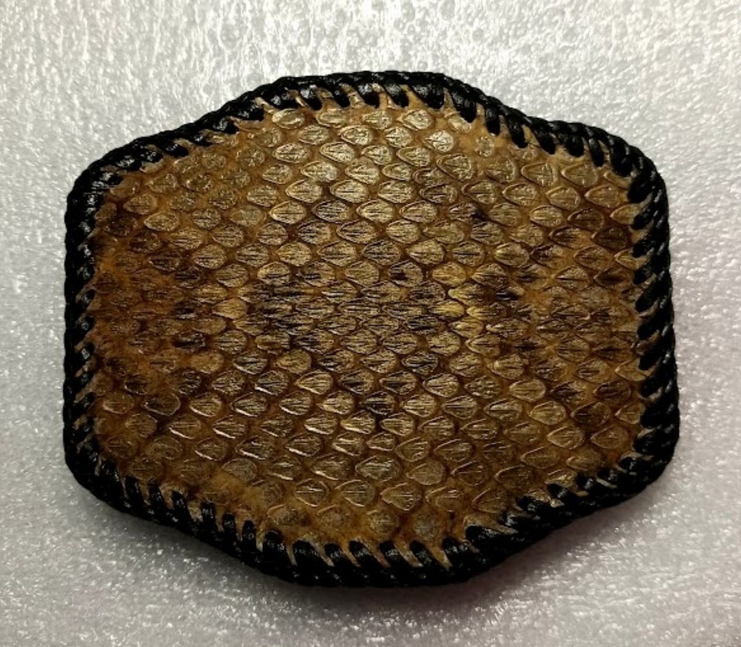 Rocky Mountain Diamondback Snake Skin Hand Stitched on Large Artisan ...