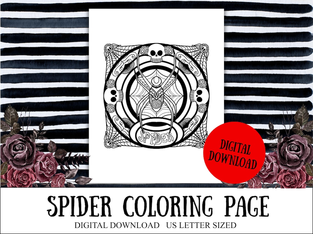 Spider Coloring Page, Digital Download, Intricate Spider Design, PDF ...
