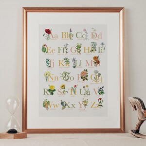 Printable Floral Alphabet Poster, Botanical Abcs Print, Flower Nursery ...