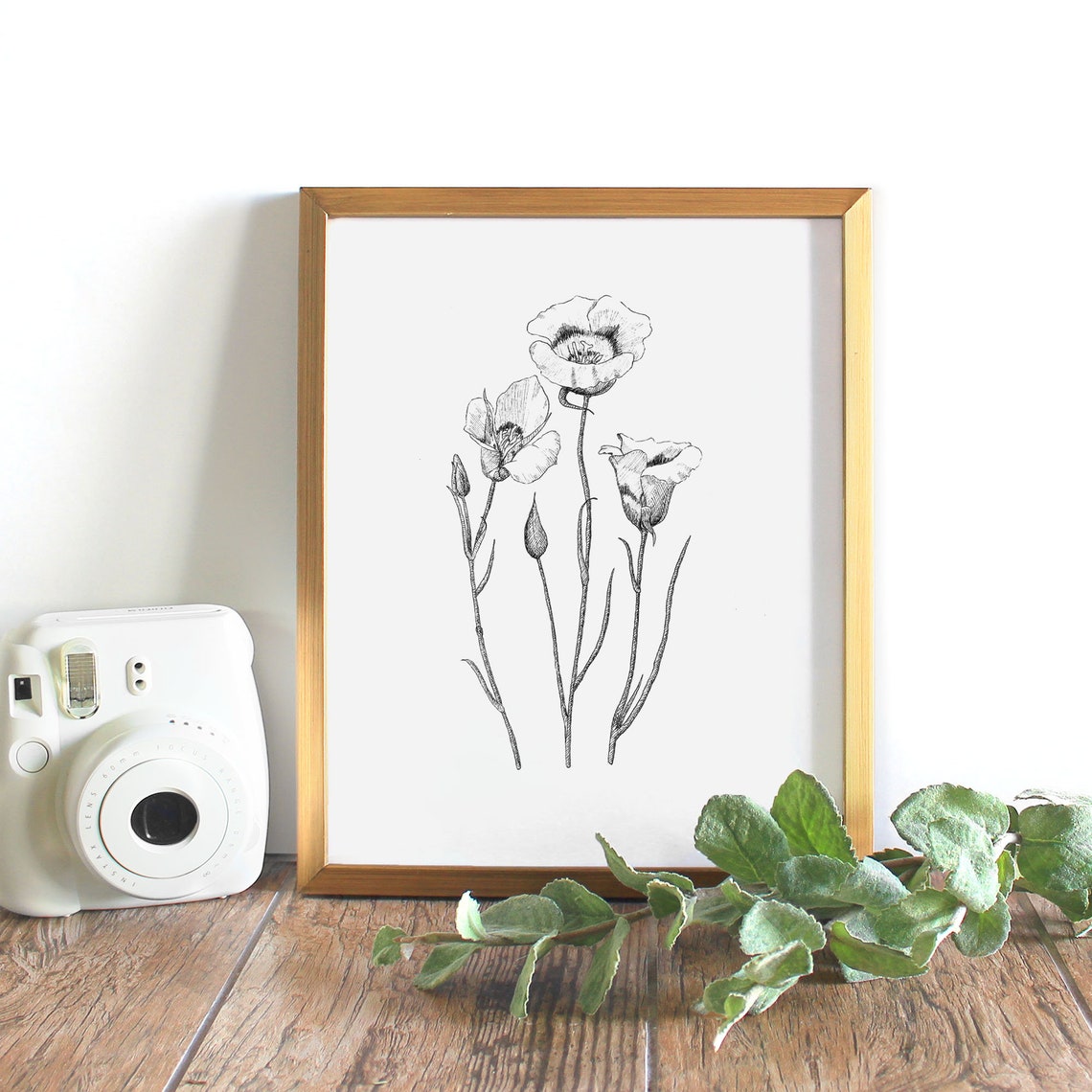 Sego Lily Botanical Illustration Botanical Wall Art Black - Etsy