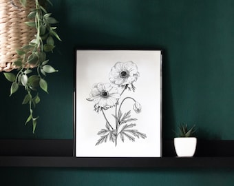 Poppy Anemone Print - Etsy