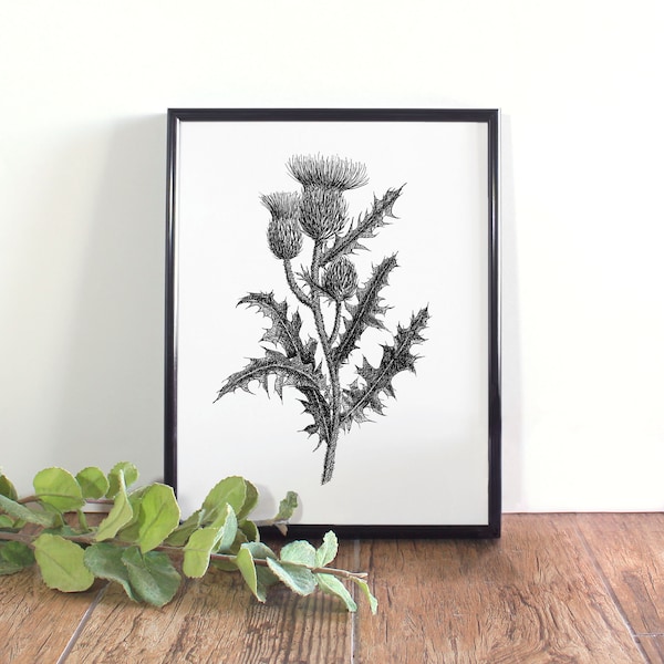 Black and White Thistle Wall Art - Etsy