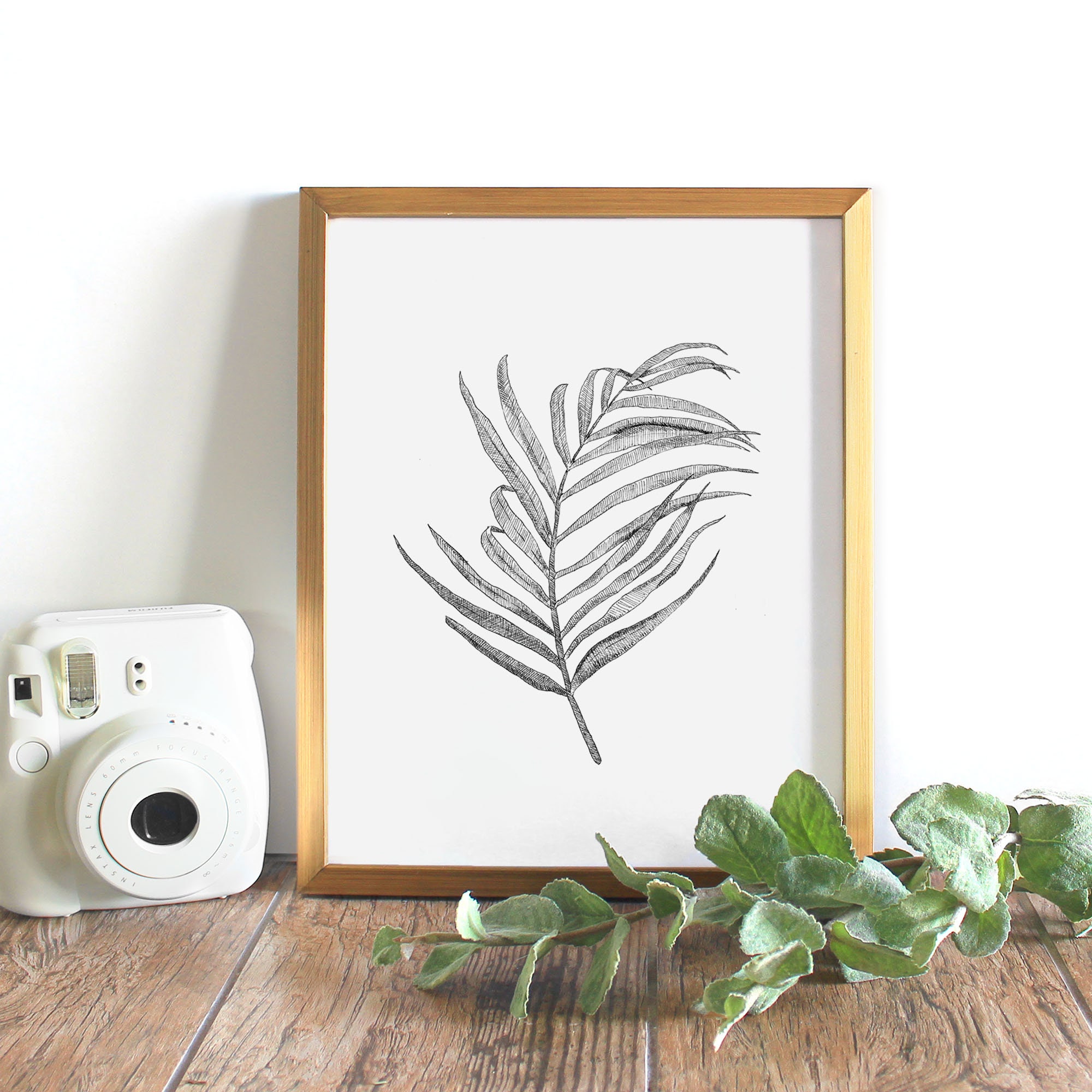 Palm Leaf Botanical Illustration Wall Art Tropical - Etsy