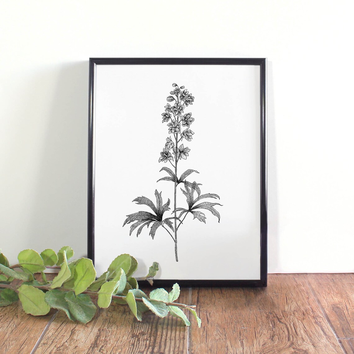 Larkspur Botanical Illustration Botanical Wall Art Black and - Etsy