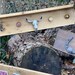 Rustic Wood Shelf With Western Ranch Knobs; Reclaimed Wood Coat Rack ...