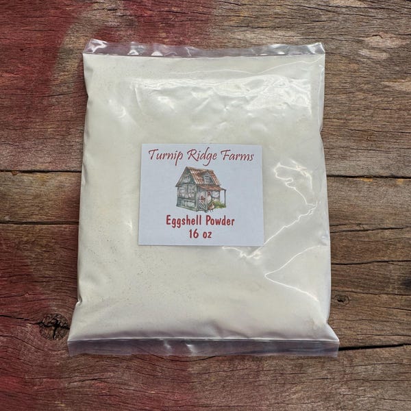 Oyster Shells With Dogs - Etsy