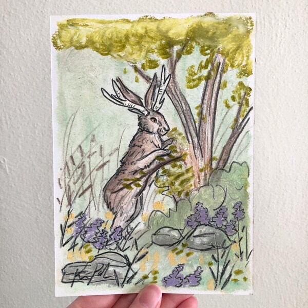 Jackalope Print - Etsy