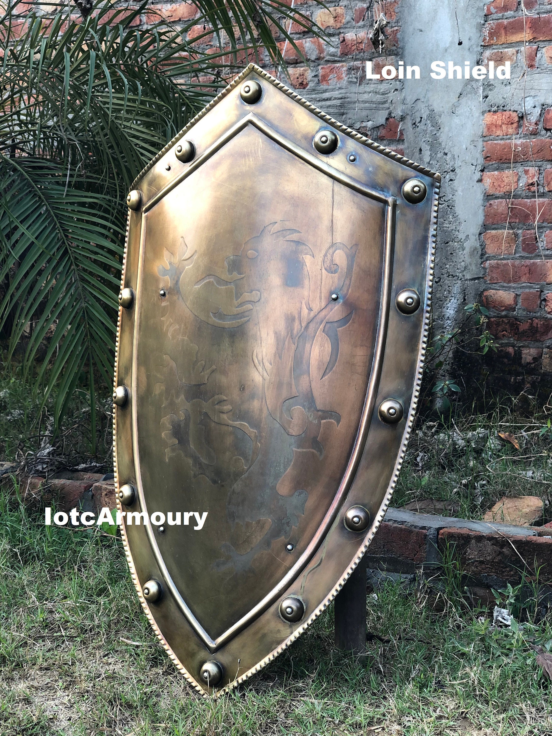 Medieval Shield