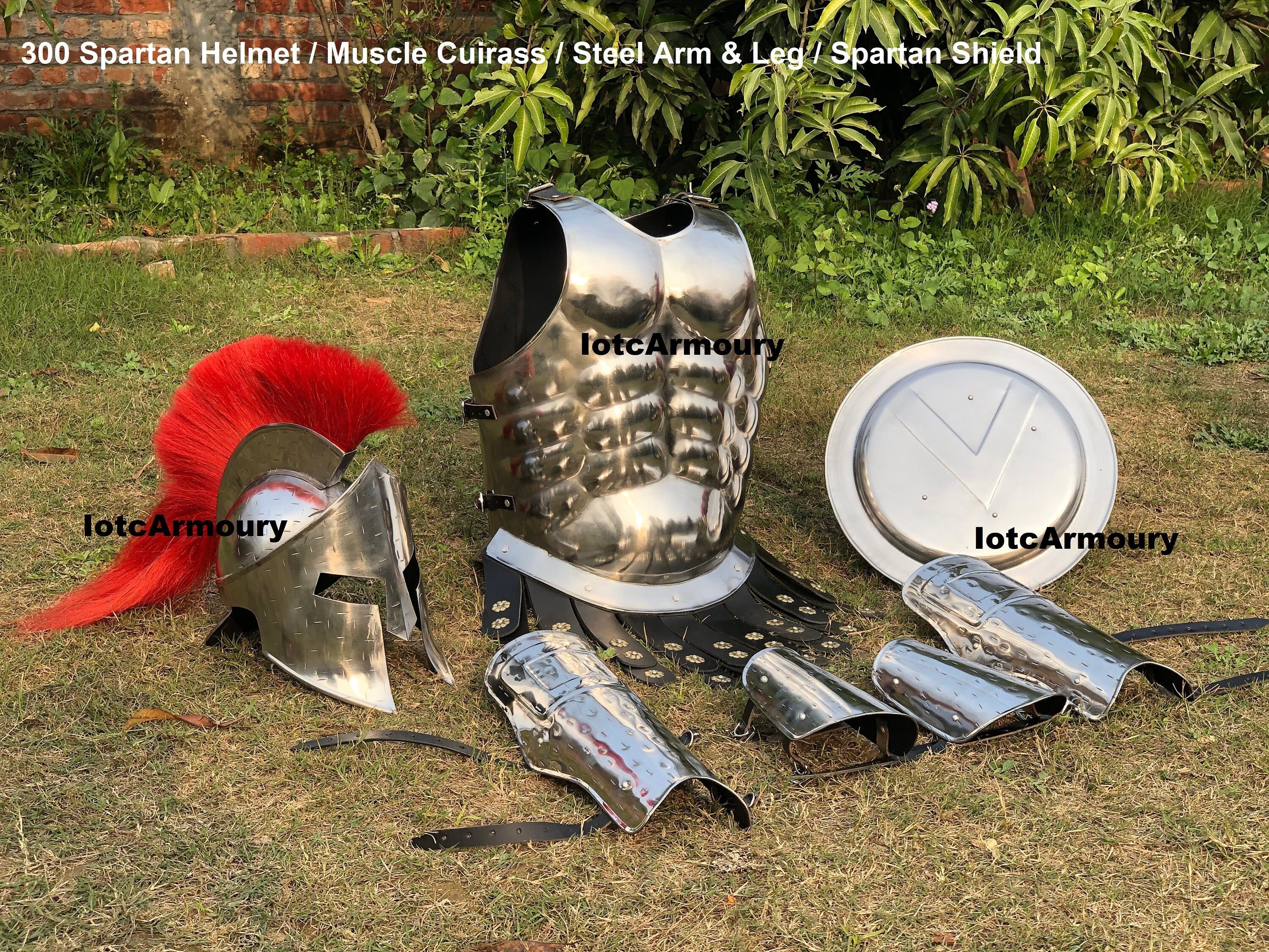Spartan Helmet And Shield 300