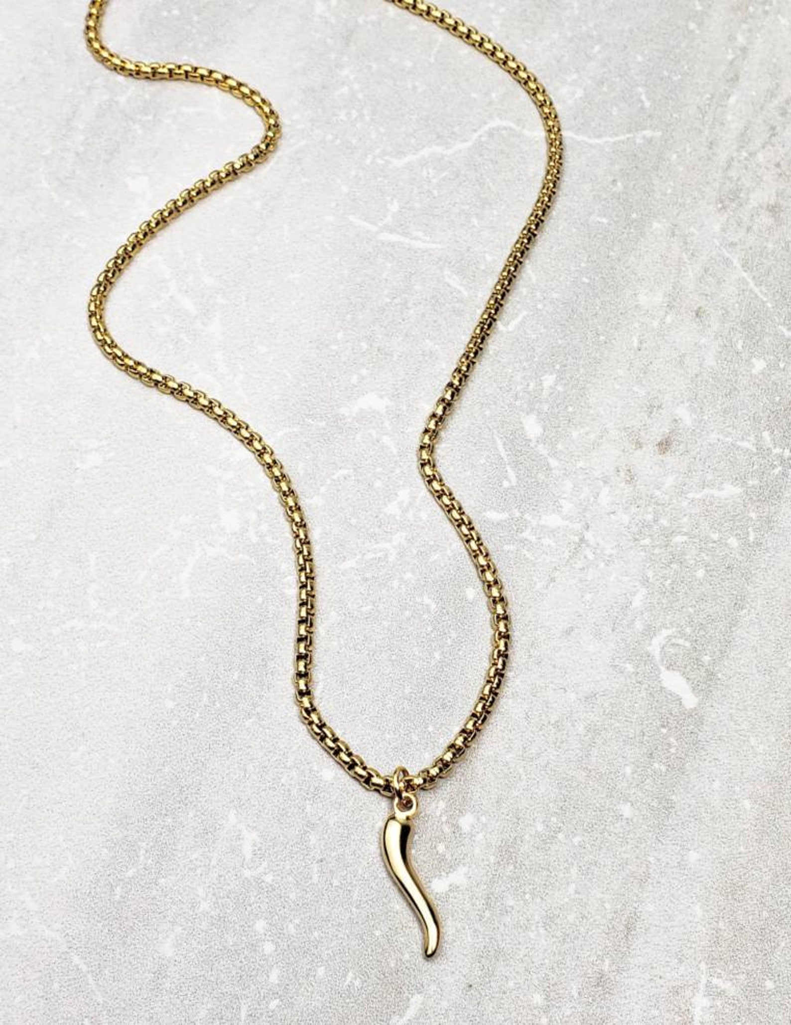 Men's gold STEEL Cornicello Necklace - Etsy