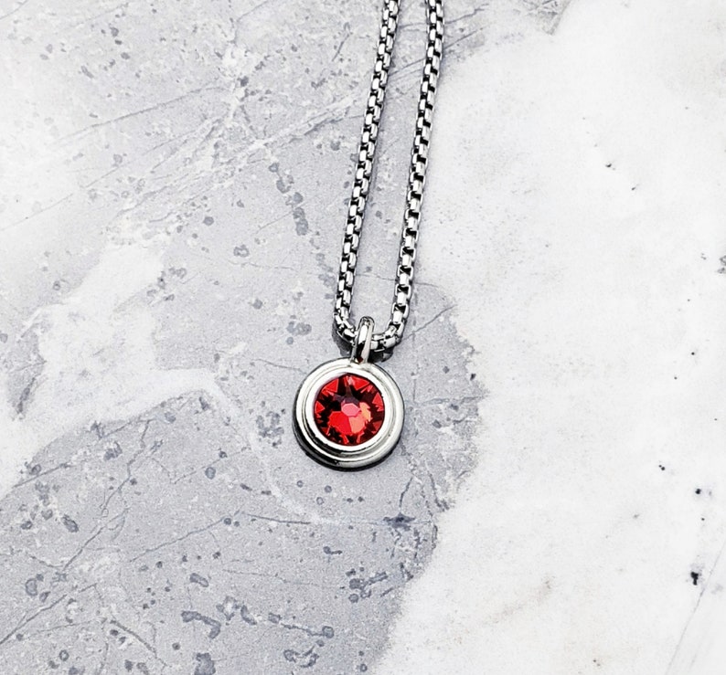 Men's SILVER RUBY COIN Necklace | Men's Ruby Gemstone Silver Stainless ...