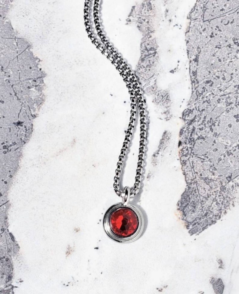 Men's SILVER RUBY COIN Necklace | Men's Ruby Gemstone Silver Stainless ...