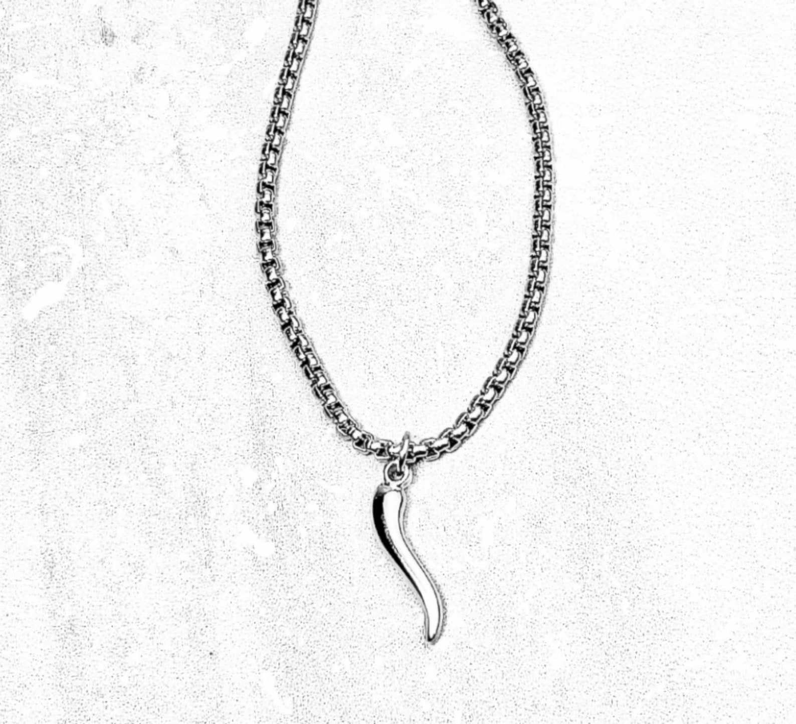 Men's silver STEEL Cornicello Necklace Men's Silver Stainless Steel ...