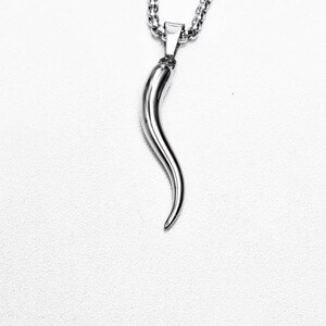 Men's steel Cornicello Necklace Men's Silver Stainless Steel Italian ...