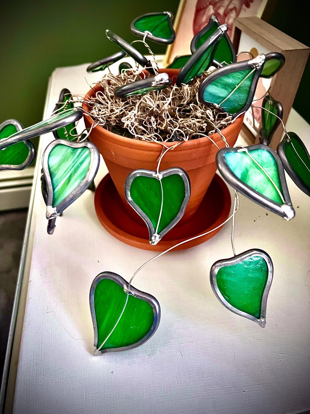 Stained Glass Philodendron Plant in Terracotta Pot With Variegated ...