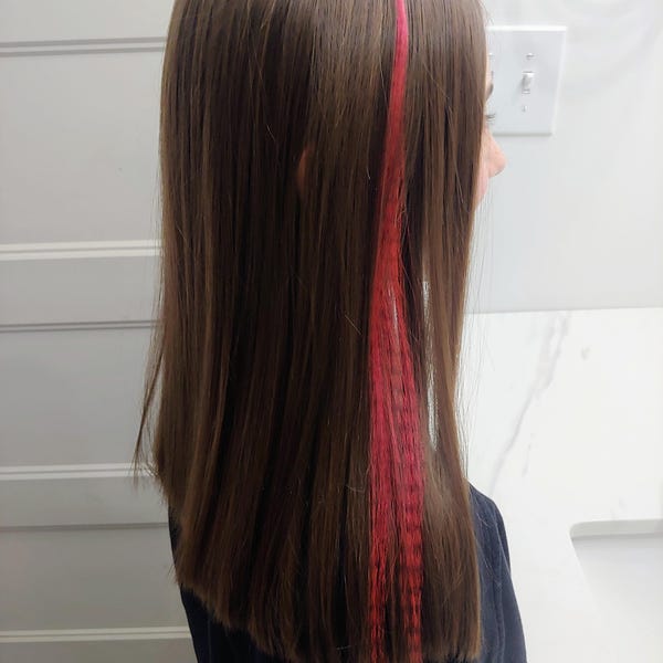 Racoon Stripe Hair Extensions - Etsy