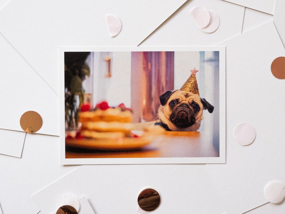 Pug Birthday Card DIN A6 Dog Lover Photography Postcard 1st Birthday ...