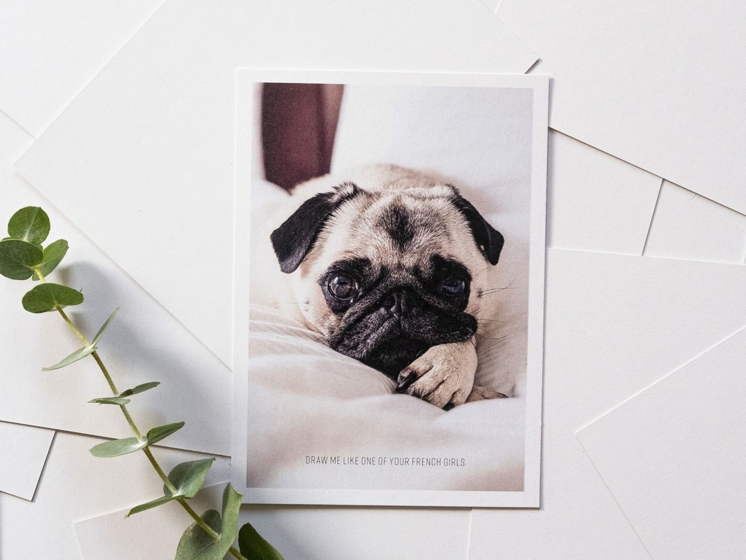 Pug Postcard DIN A6 Dog Lover Photography Postcard Love Funny Valentine ...