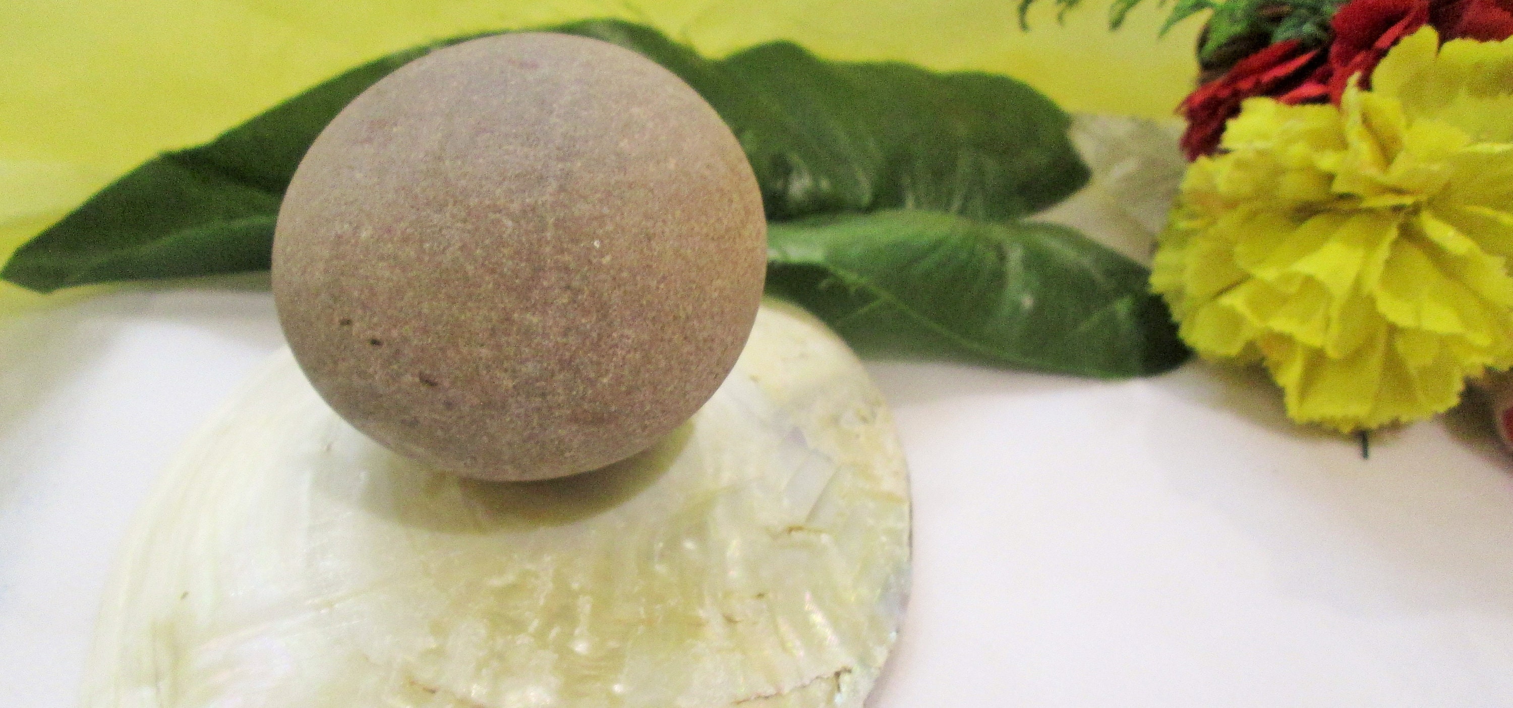 Potato Rock Specimen Fossil Large 65mm Potato Fossil | Etsy