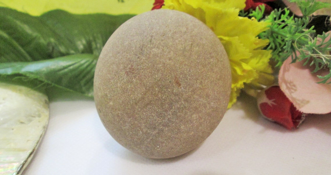 Potato Rock Specimen Fossil Large 65mm Potato Fossil | Etsy