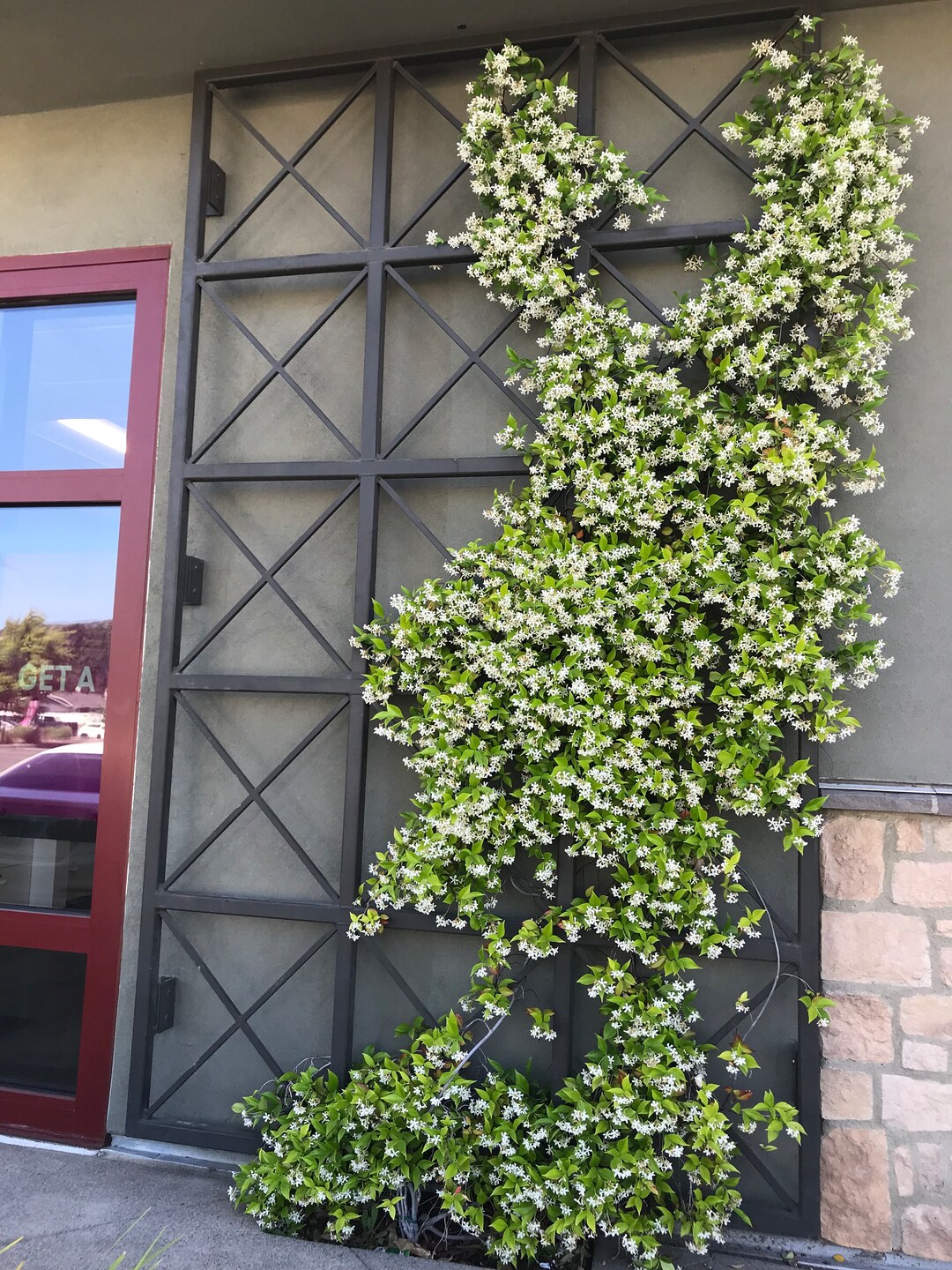 Rustic Barn-style Trellis, Rust-proof Outdoor Trellis for Garden ...