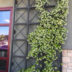 Rustic Barn-style Trellis, Rust-proof Outdoor Trellis for Garden ...