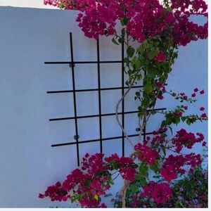3ft Wide Modern Frameless Overlap Square Grid Trellis, Wall Mounted ...