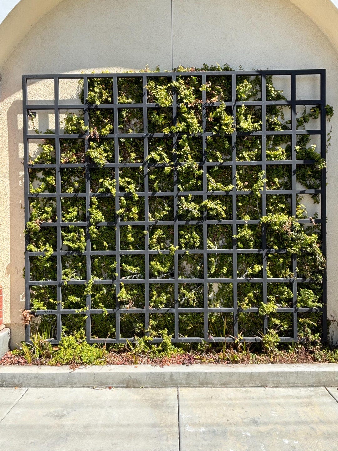 Classic Square Bar Trellis, Square Gridwall Panel, Heavy Duty Metal ...