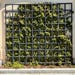 Multiple Size Trellis, Classic Square Grid Trellis, Outdoor Plant Panel ...