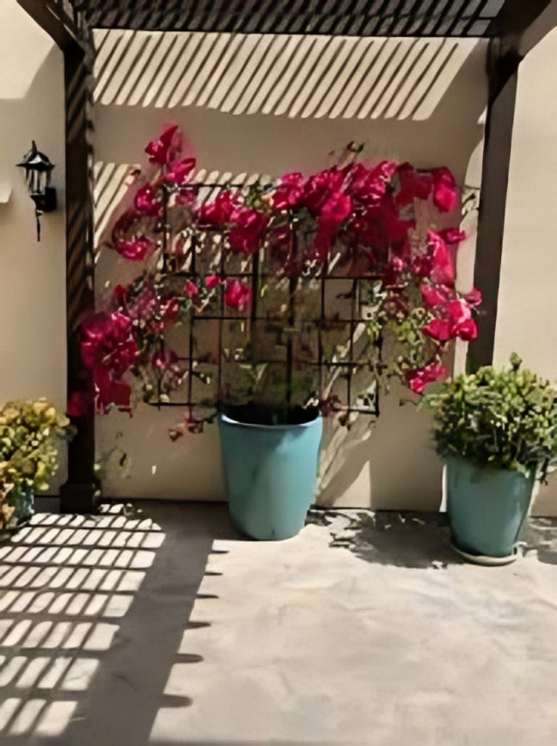 3ft Wide Modern Frameless Overlap Square Grid Trellis, Wall Mounted ...