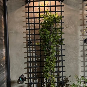 Multiple Size Trellis, Classic Square Grid Trellis, Outdoor Plant Panel ...
