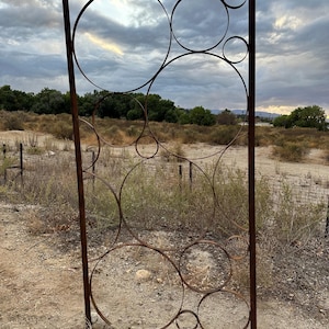 Abstract Circular Trellis, Metal Garden Trellis, Large Steel Design ...