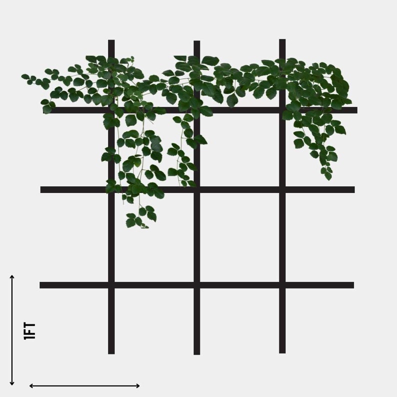 Modern Frameless Ladder Trellis | Minimalist Plant Support | Square ...