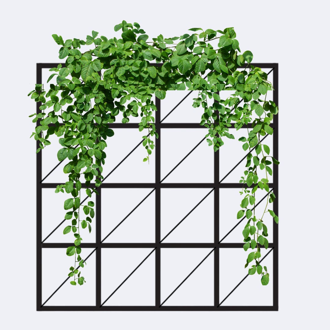 Square Trellis, Squared up Grid Liner Trellis, Cattle Panel Trellis ...