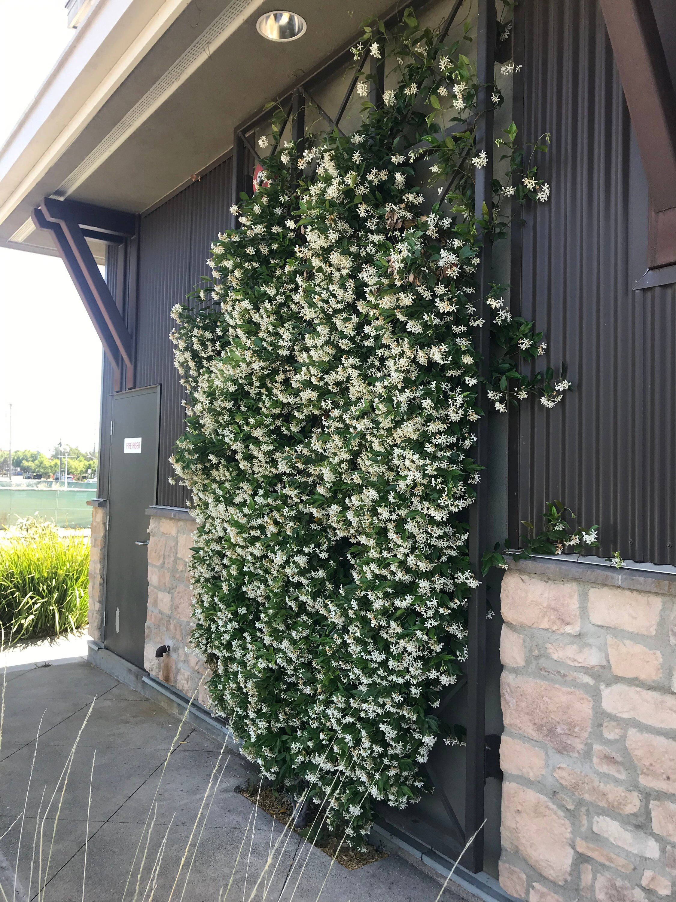 Rustic Barn-style Trellis, Rust-proof Outdoor Trellis for Garden ...
