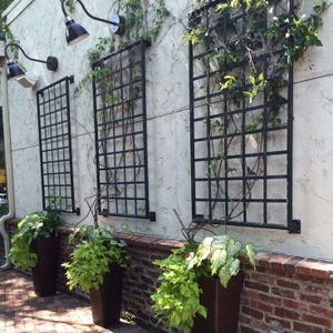 Classic Square Bar Trellis, Square Gridwall Panel, Heavy Duty Metal ...